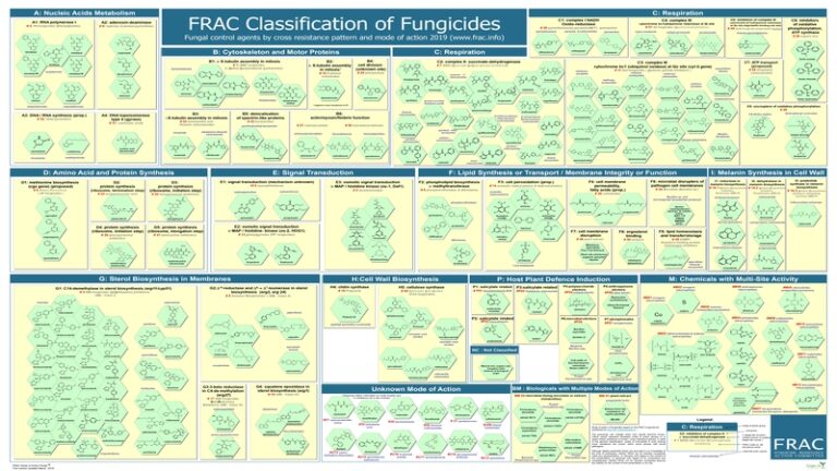 FRAC-moa-poster-2019 – News & Updates