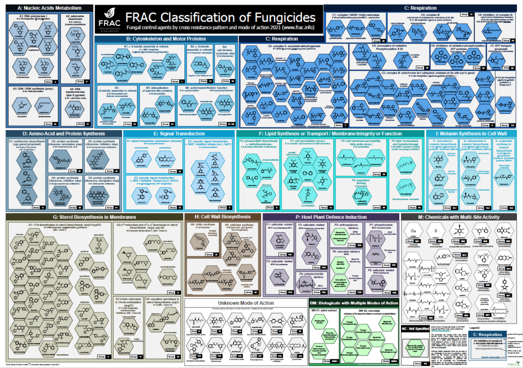 New FRAC Poster Published – 2021 – News & Updates