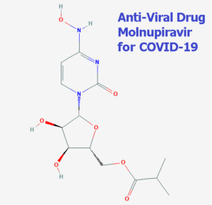 Molnupiravir – News & Updates