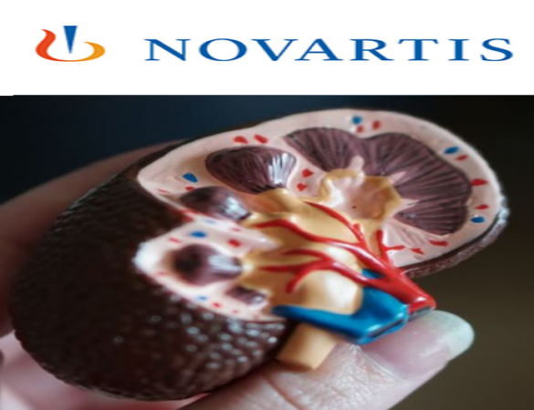 Novartis Pharmaceuticals UK awarded an Innovation Passport for ...