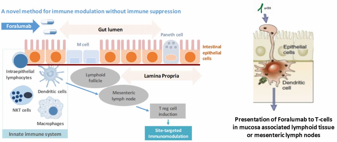 Tiziana Announces Submission of Amendment to Investigational New Drug ...