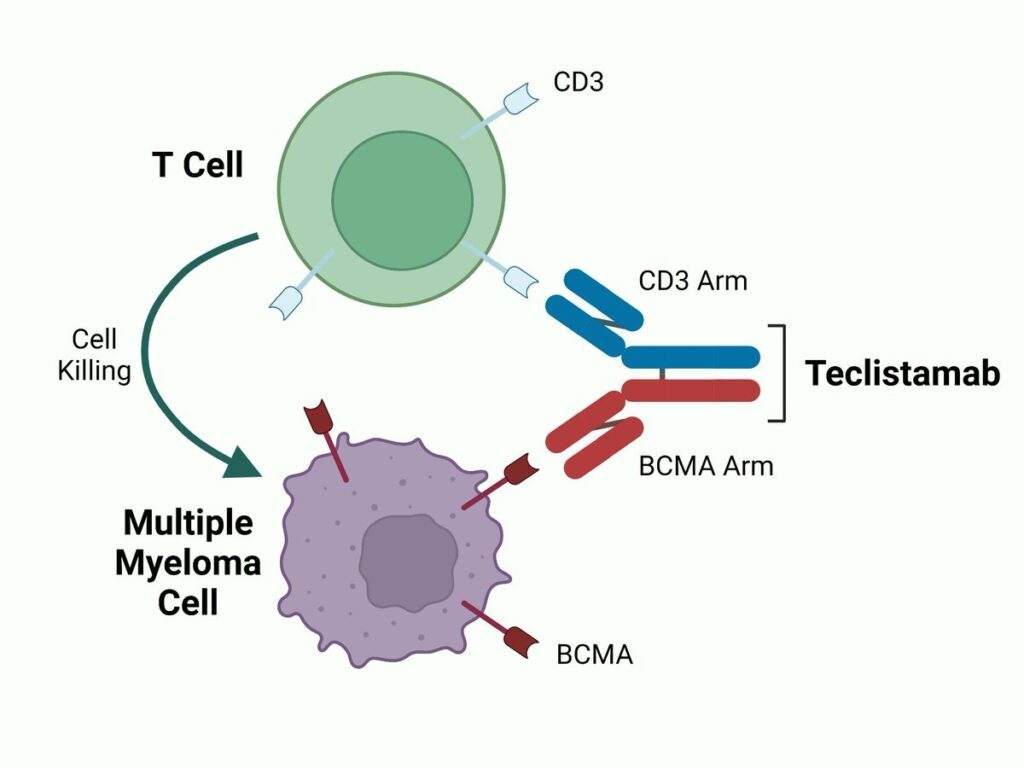 U.S. FDA Approves TECVAYLI™ (teclistamab-cqyv), the First Bispecific T ...