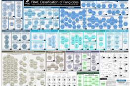 Insecticide Resistance Action Committee_IRAC_IRAC_Poster_2022 – News ...