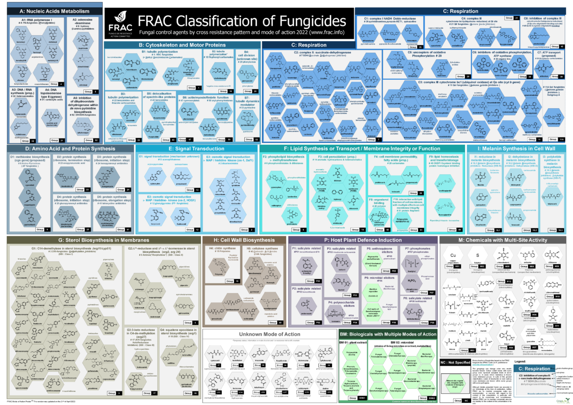 FRAC Mode of Action Poster – Published Version 2022 – News & Updates