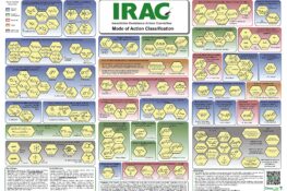 News & Updates – News and Updates