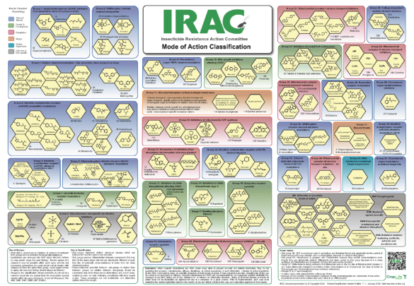 INSECTICIDE RESISTANCE ACTION COMMITTEE (IRAC) – DESIGNATION OF NEW ...