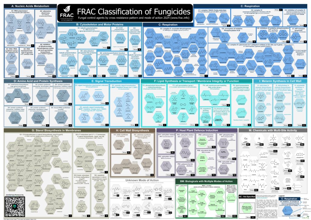 FRAC 2024 POSTER PUBLISHED: INTRODUCTION OF TAVABOROLE ACTIVE ...
