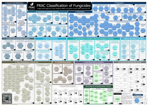 FRAC 2024 POSTER PUBLISHED: INTRODUCTION OF TAVABOROLE ACTIVE ...