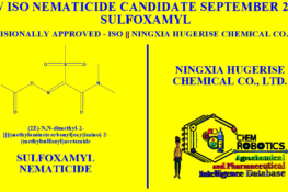 News & Updates – News and Updates