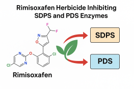 NEW ISO CANDIDATE – ICAFOLIN-METHYL (ISO 1750) – BY BAYER CROP SCIENCE ...